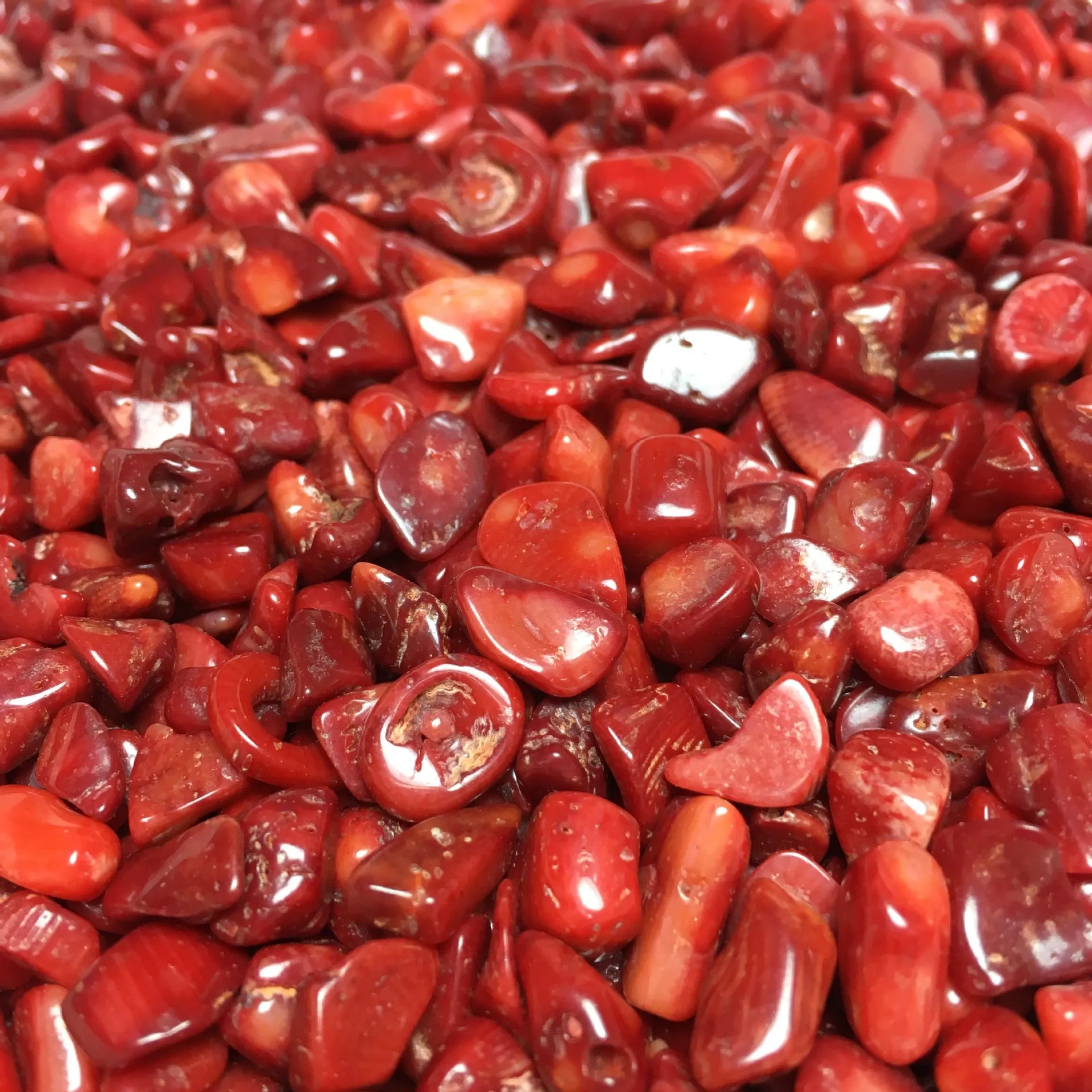 Tibetan Red Coral Crystal: Healing Properties, Meaning & Uses